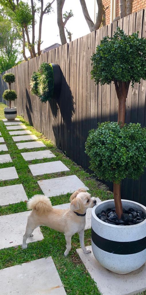 50+ Free Garden Design, Inspiration İt's Not Just About The Plants New 2021